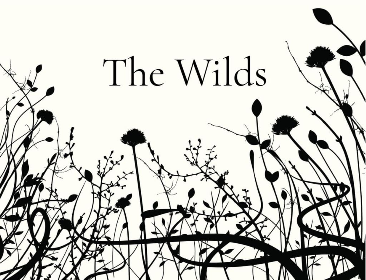 Daisy Oaks Ranch llc at The Wilds 9/1/23 – Daisy Oaks Ranch LLC